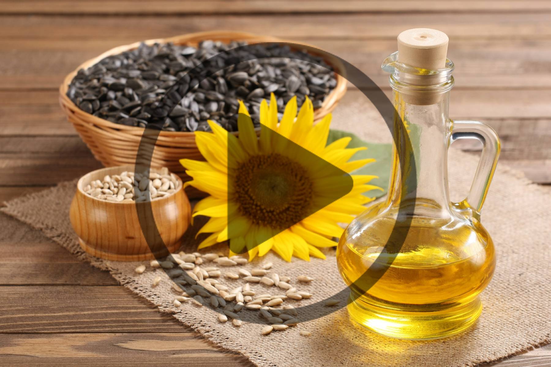 Make Your Own Seed and Nut Oils – Mother Earth News